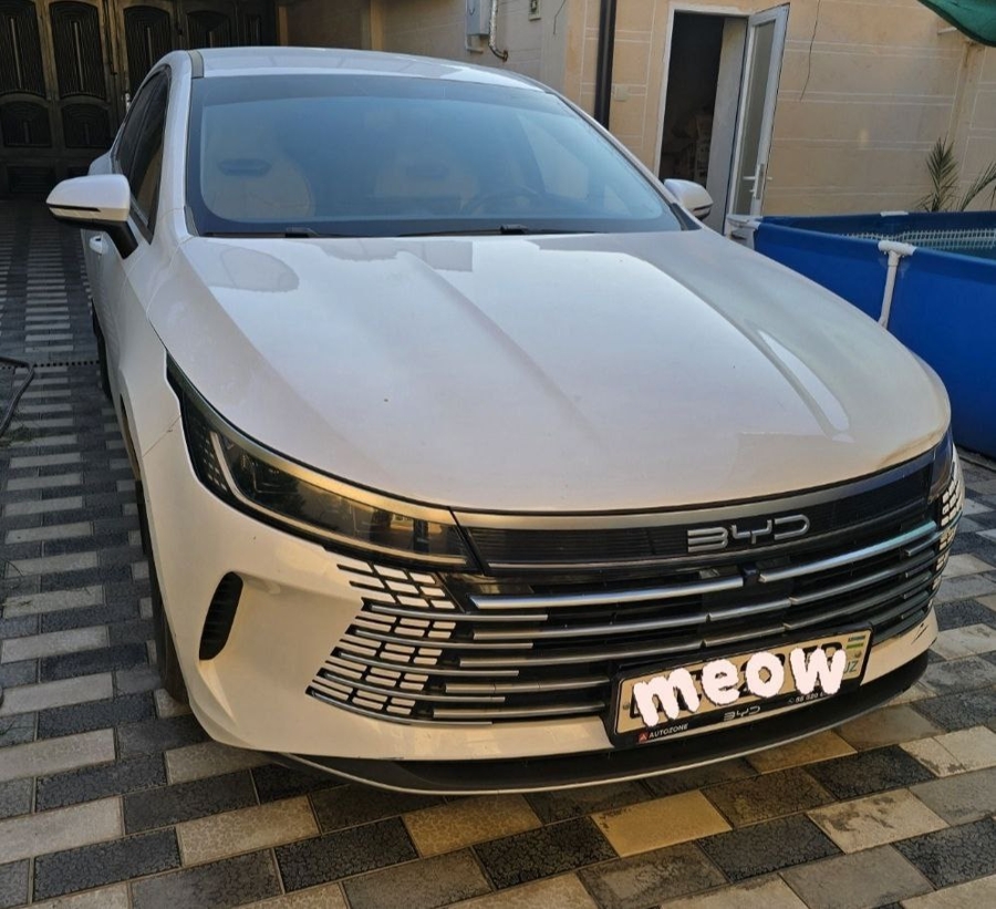 Купить BYD Chazor в Ташкент (город) | A-Bozor.uz